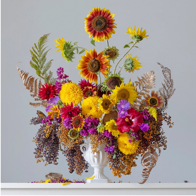 EMMA BASS - Fine Art Photographic Prints - Boyd-Dunlop Gallery