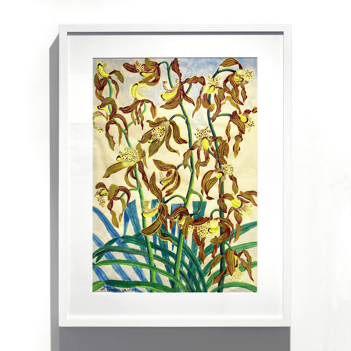 Cymbidium Orchid - Patrick Tyman - Original Painting – Boyd-Dunlop Gallery