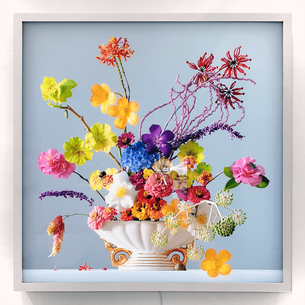 Love Burst - Archival Light Box - EMMA BASS - Boyd-Dunlop Gallery