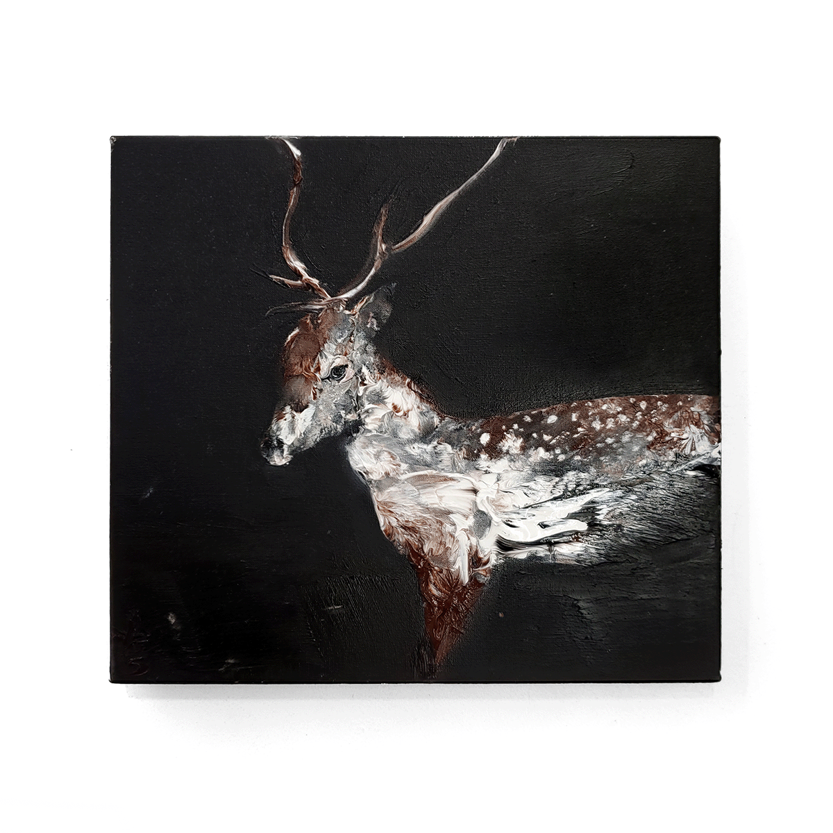 Deer - Garth Steeper - Original Oil Painting – Boyd-Dunlop Gallery