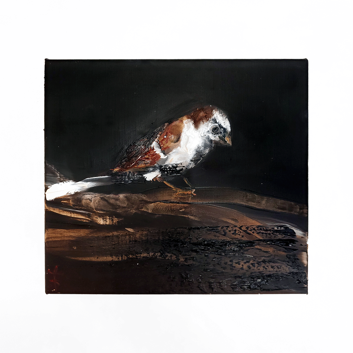 Single Sparrow on Branch - Garth Steeper - Original Oil Painting – Boyd ...