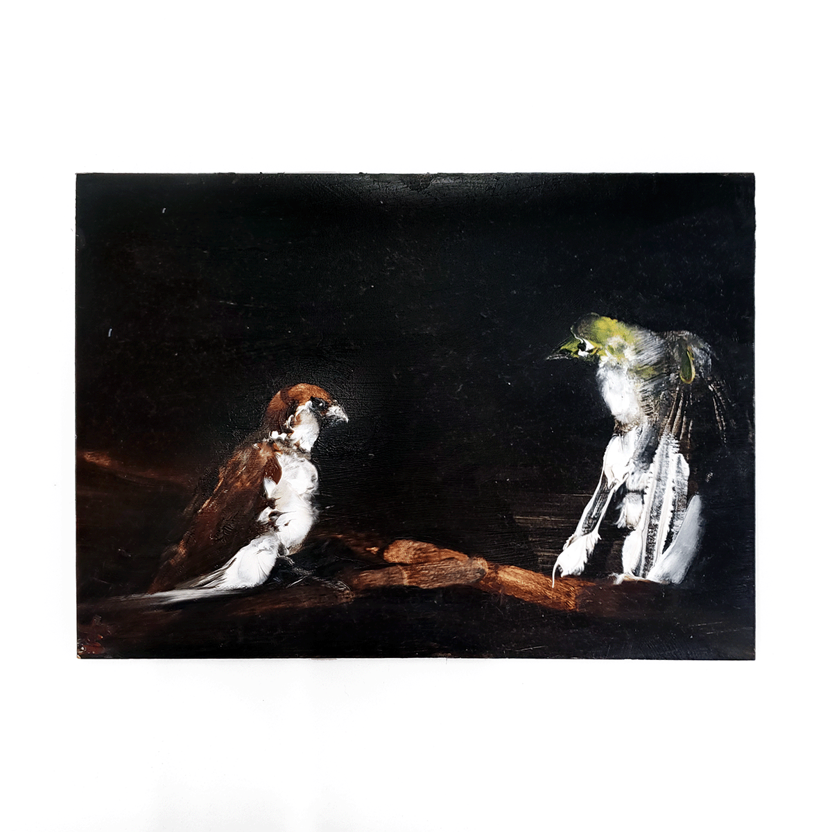 Sparrow & Finch - Garth Steeper - Original Oil Painting – Boyd-Dunlop ...