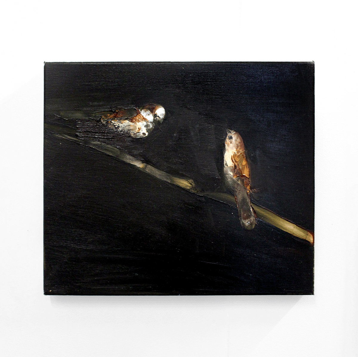 Two Birds on Branch | Garth Steeper | Original Oil Painting – Boyd ...