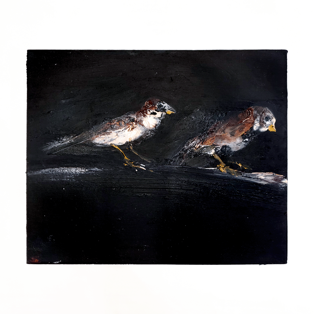 Two Sparrows - Garth Steeper - Original Oil Painting – Boyd-Dunlop Gallery