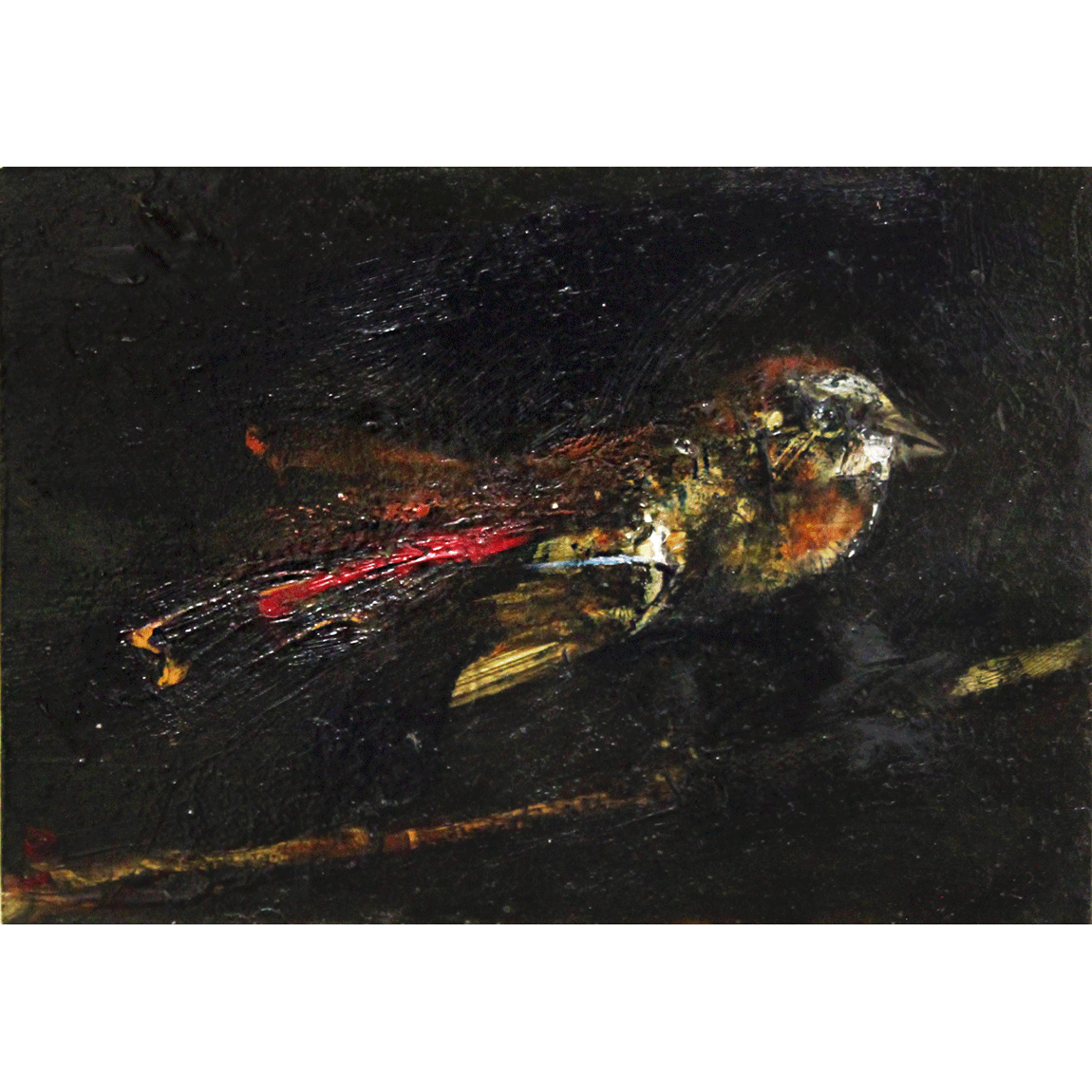Bird Study, 2023 - Garth Steeper - Original Oil Painting – Boyd-Dunlop ...