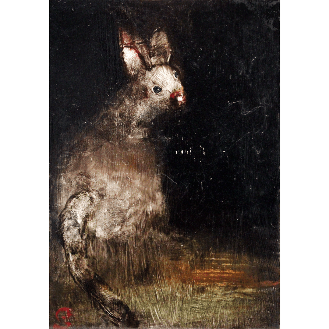 Possum, May 2023 - Garth Steeper - Original Oil Painting – Boyd-Dunlop ...