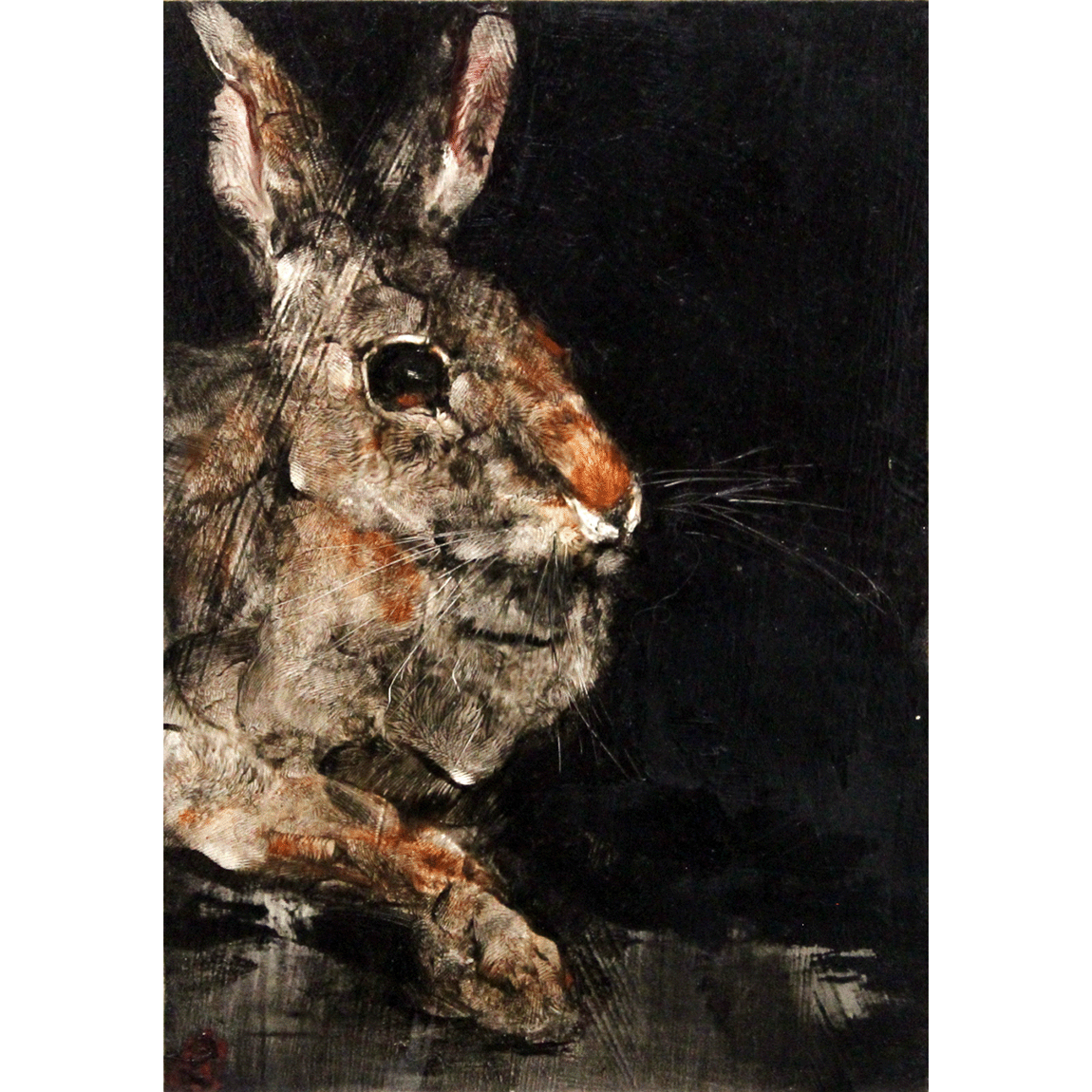 Rabbit, March 2023 - Garth Steeper - Original Oil Painting – Boyd ...